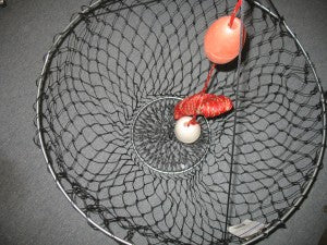DELUXE LOBSTER & CRAB HOOP NET 32" – Fisherman Hyun